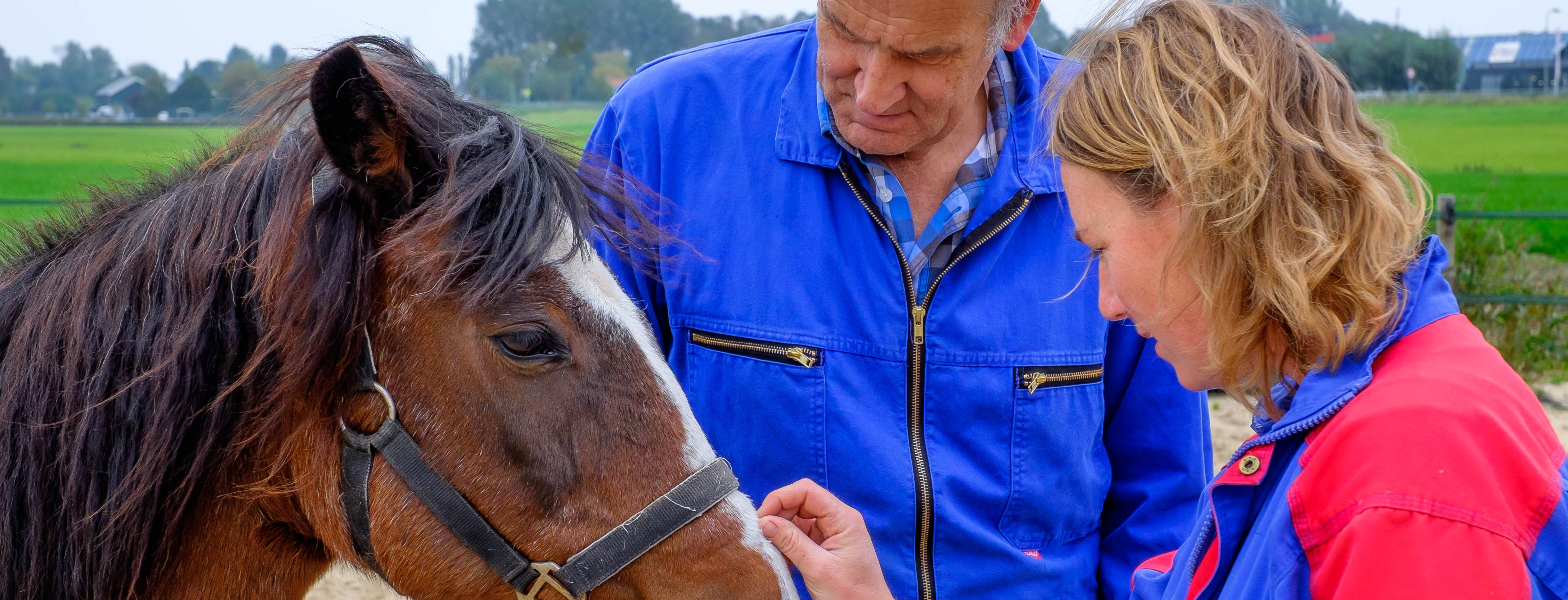 Dagbesteding voor ouderen